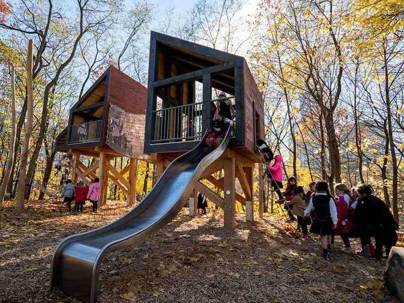 Custom-made or standard slides.